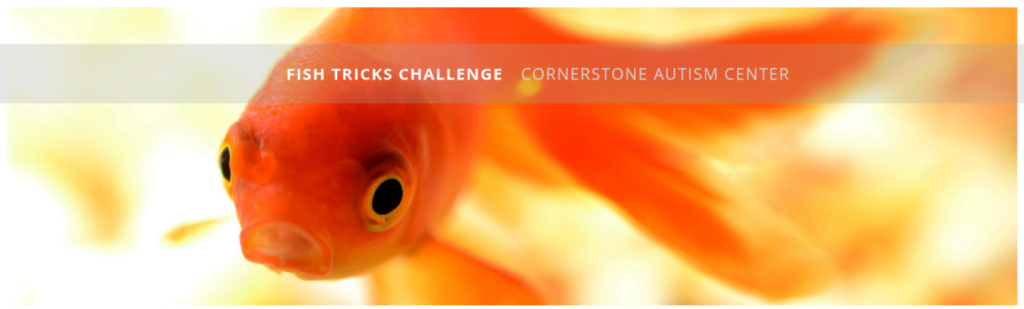 Cornerstone Reflections | Fish Training – Cornerstone Autism Center